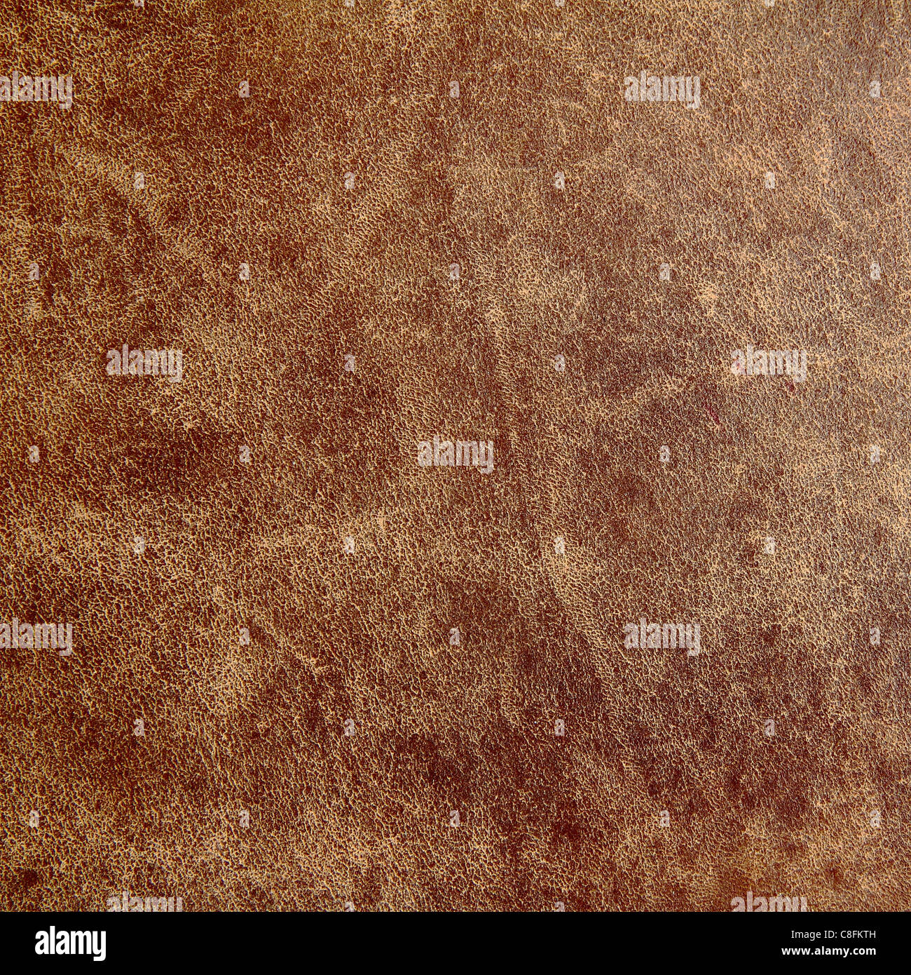 Leather texture immagini e fotografie stock ad alta risoluzione - Alamy