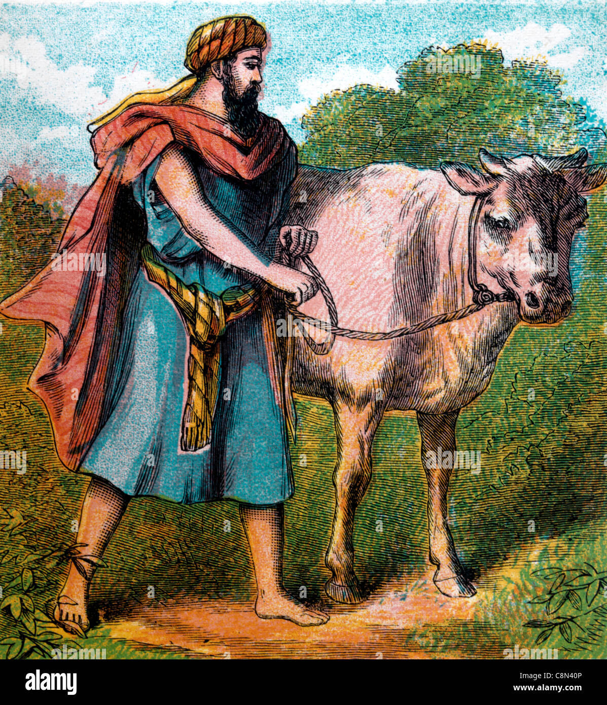 Storie bibliche- Illustrazione di Gedeone che porta il giovane Bullock ...