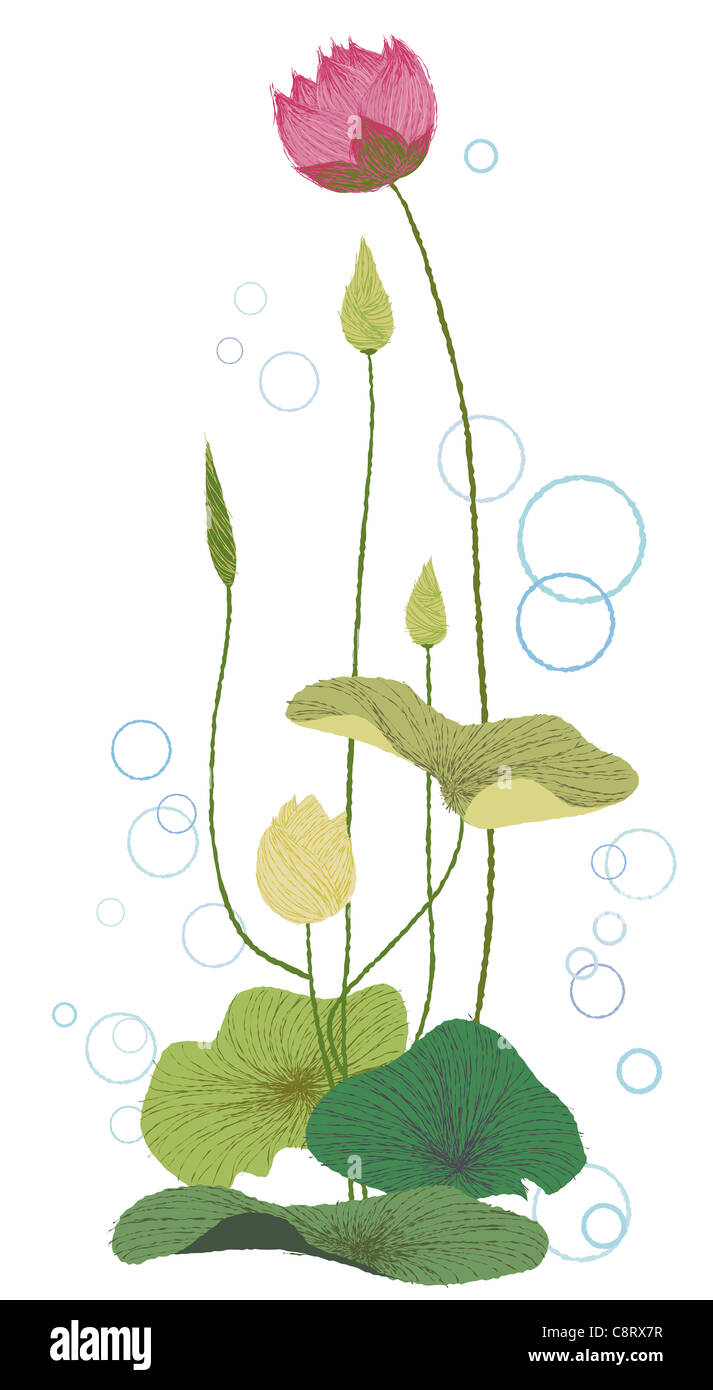 Loto ritagliato immagini e fotografie stock ad alta risoluzione - Alamy