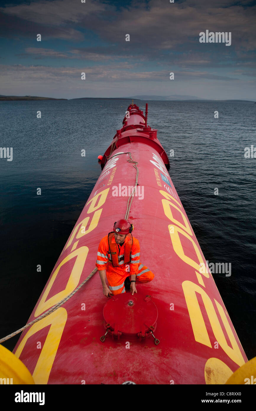 Macchina per onde di pelamis immagini e fotografie stock ad alta ...