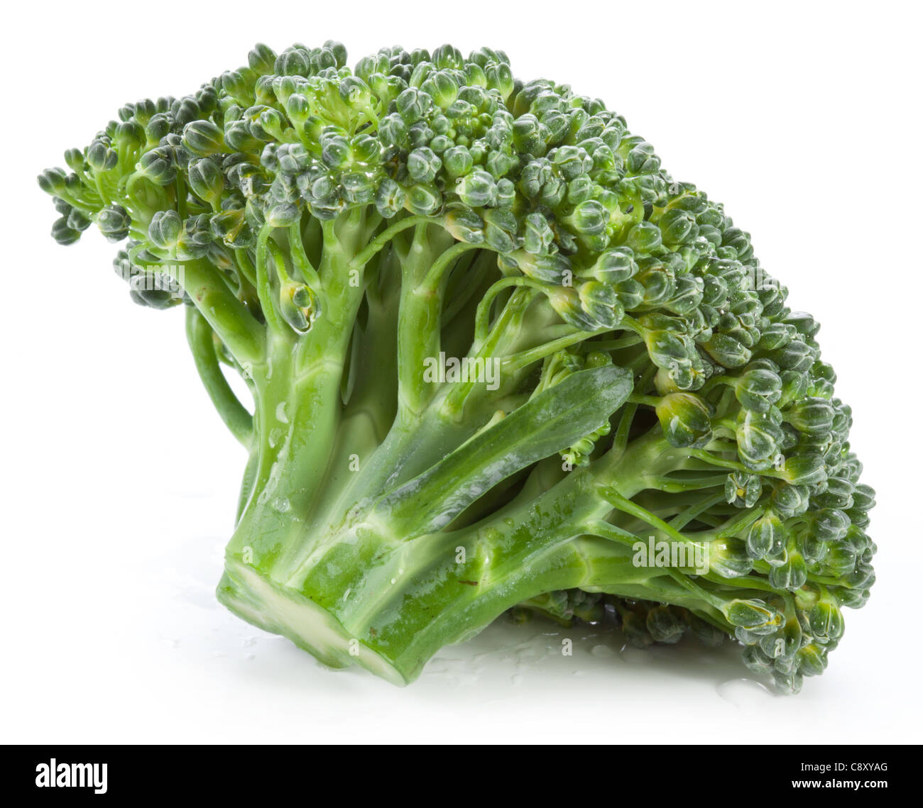 Broccoli sfondo bianco immagini e fotografie stock ad alta risoluzione ...
