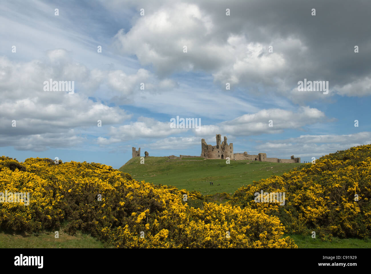 Dunstanburgh castello estate immagini e fotografie stock ad alta ...