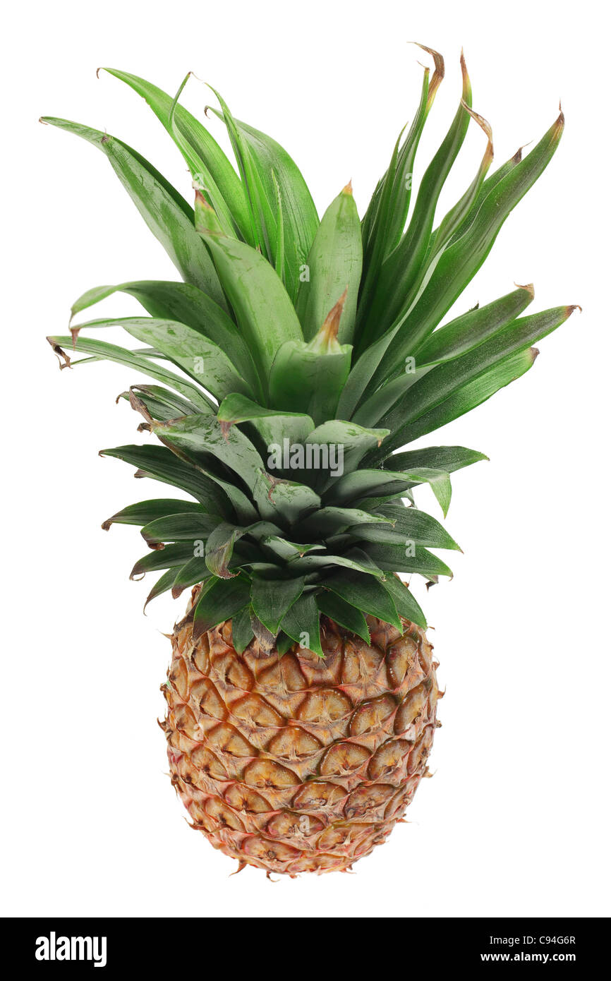 Fibra di ananas immagini e fotografie stock ad alta risoluzione - Alamy