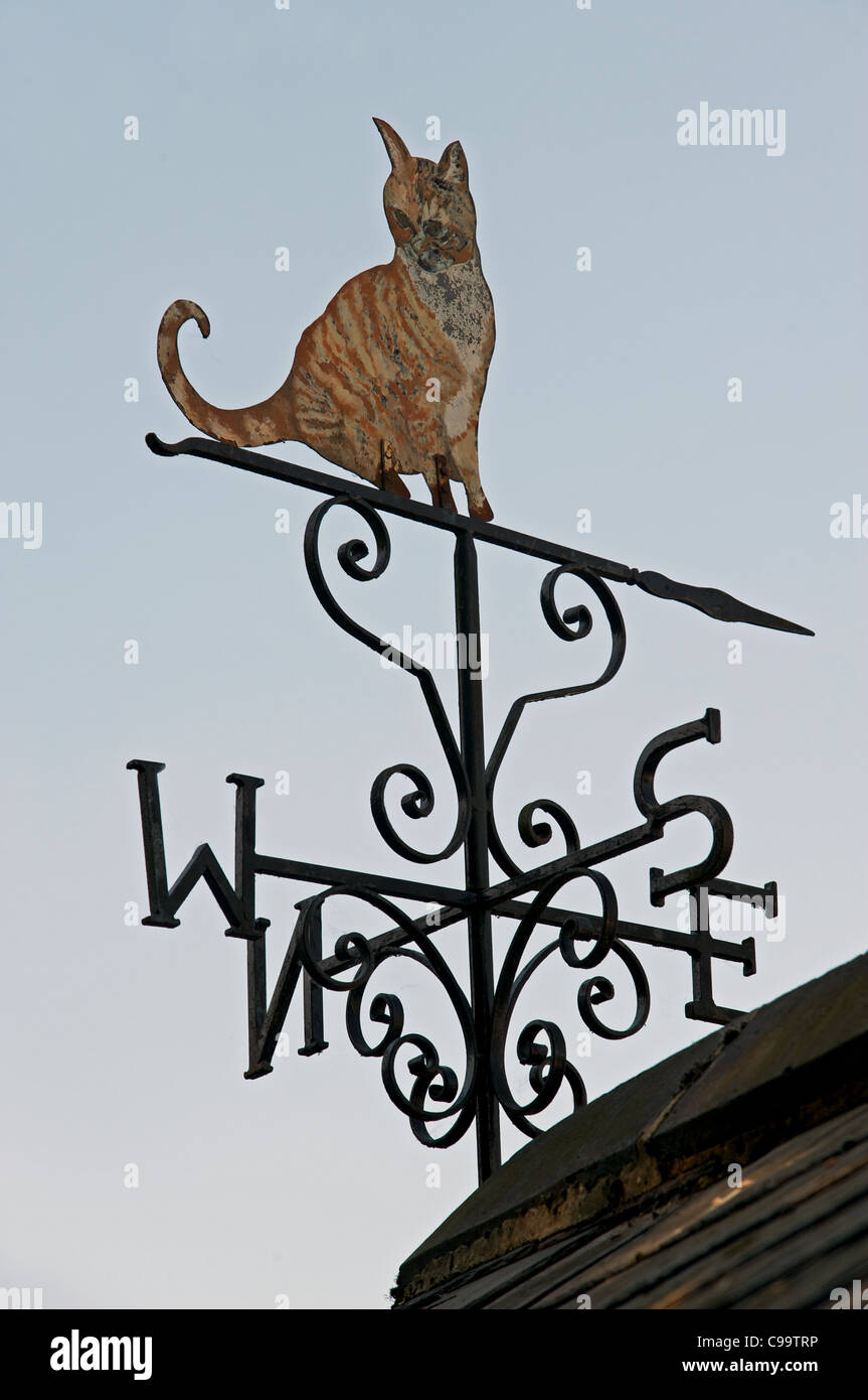 Banderuola di gatto immagini e fotografie stock ad alta risoluzione - Alamy