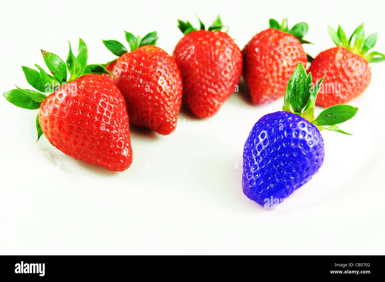 Differenza genetica immagini e fotografie stock ad alta risoluzione - Alamy