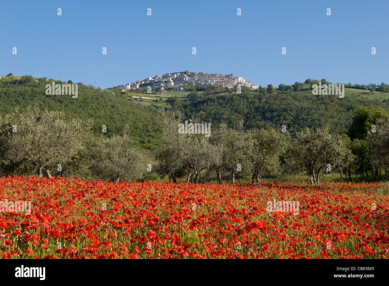 Viggiano italy immagini e fotografie stock ad alta risoluzione - Alamy