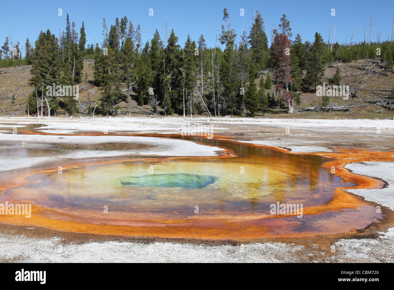 Piscina cromatica primavera calda, Upper Geyser Basin area geotermale ...