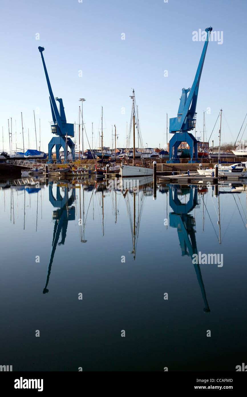 Gru riflessa nell'acqua immagini e fotografie stock ad alta risoluzione ...
