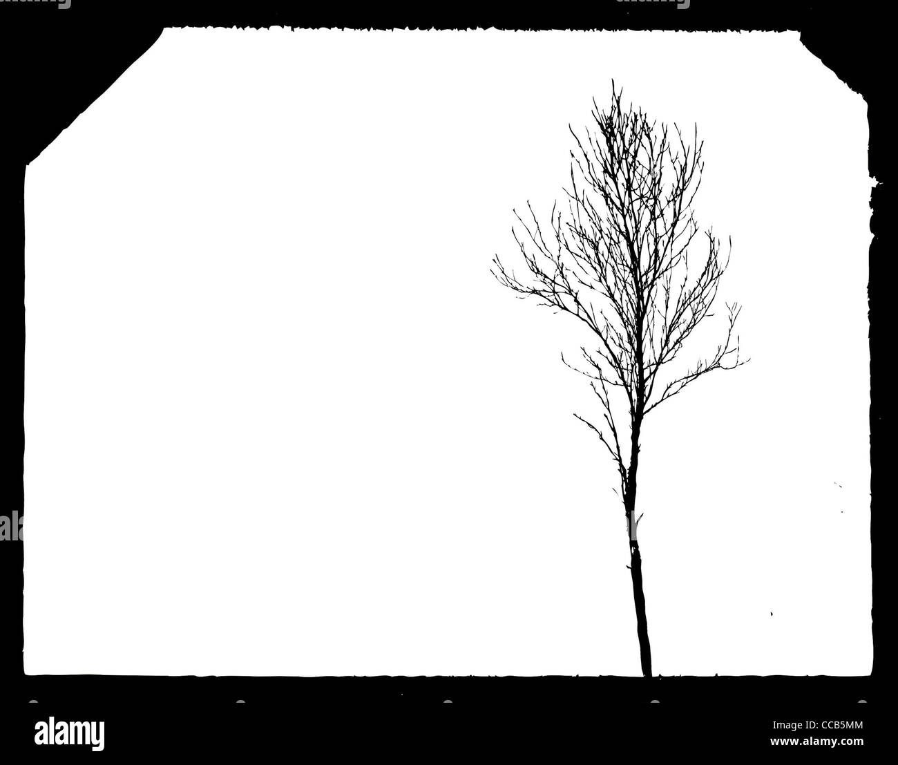 Carta rovinata Foto e Immagini Stock in Bianco e Nero - Alamy