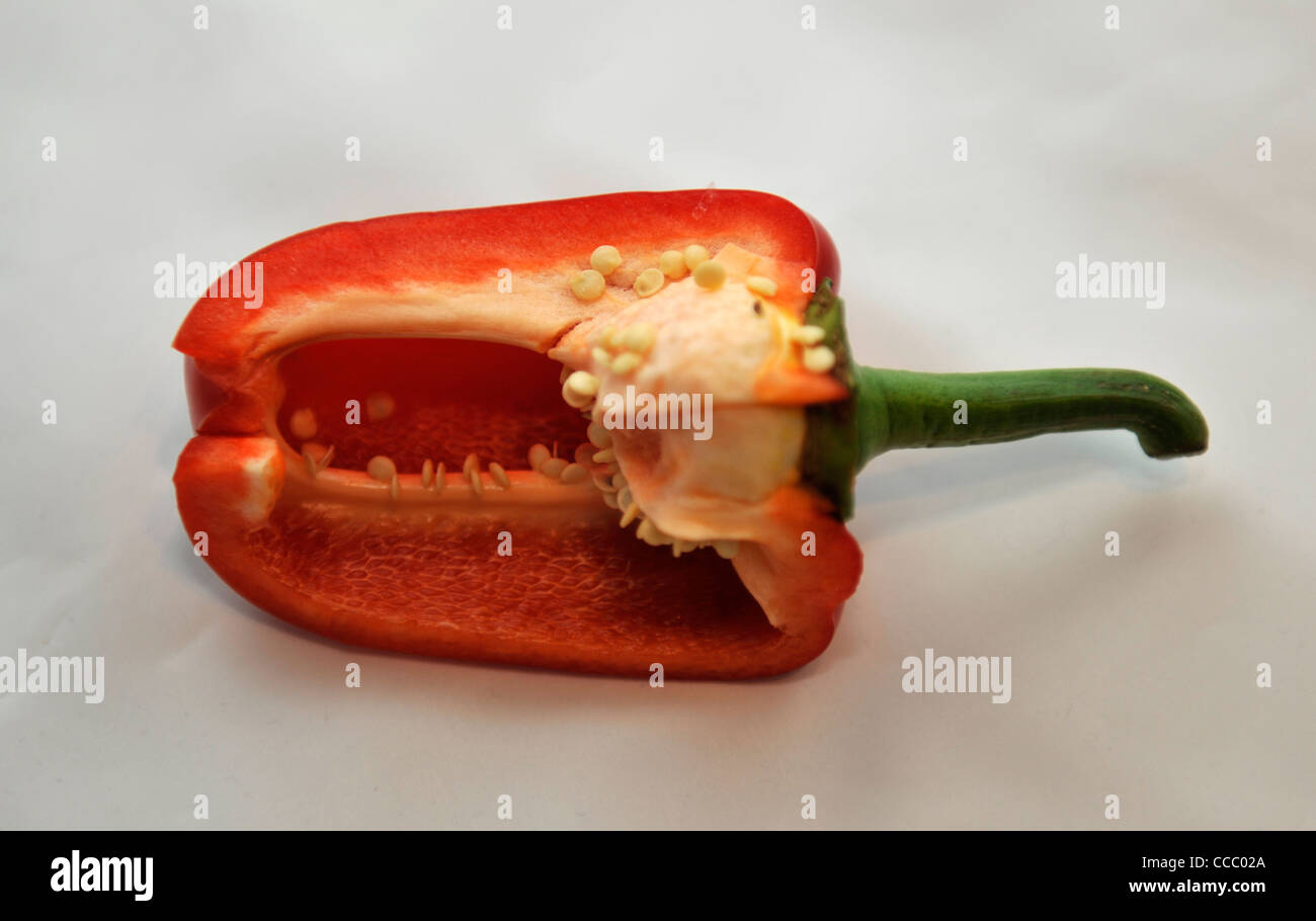 Rosso metile immagini e fotografie stock ad alta risoluzione - Alamy