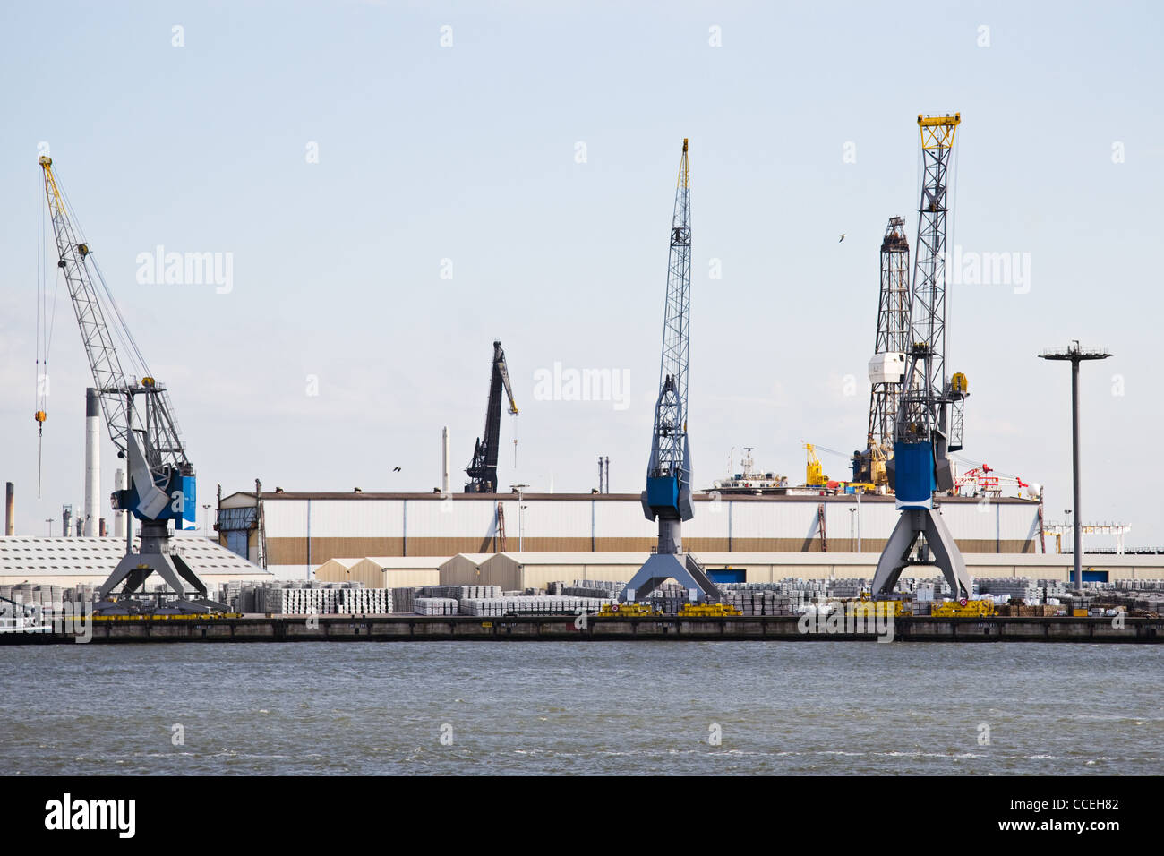 Gru in riva al fiume immagini e fotografie stock ad alta risoluzione ...