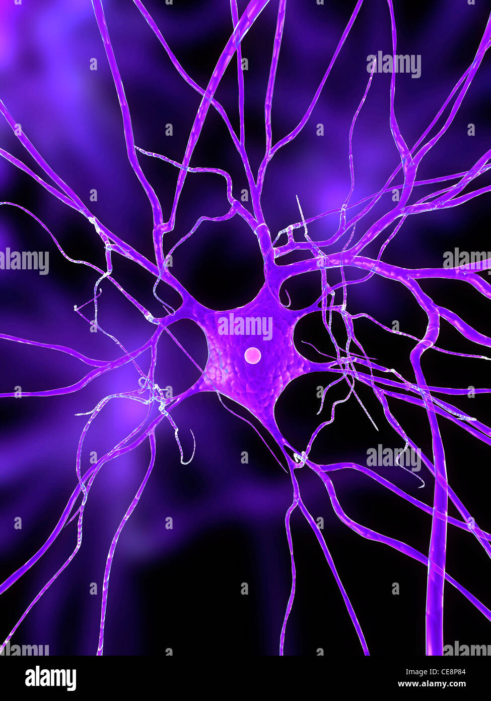 Cellula nervosa visiva immagini e fotografie stock ad alta risoluzione ...