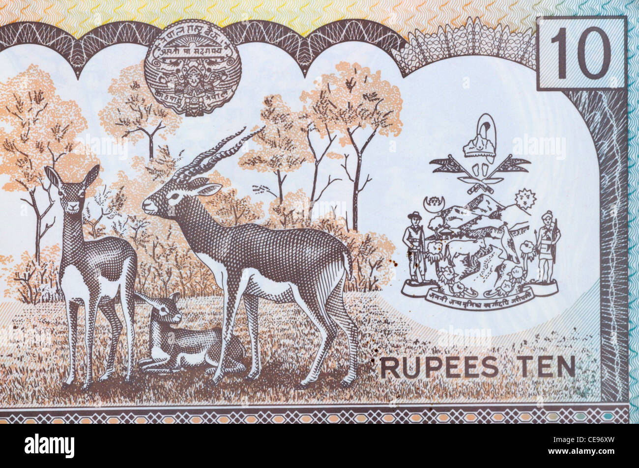 Old ten rupee note store