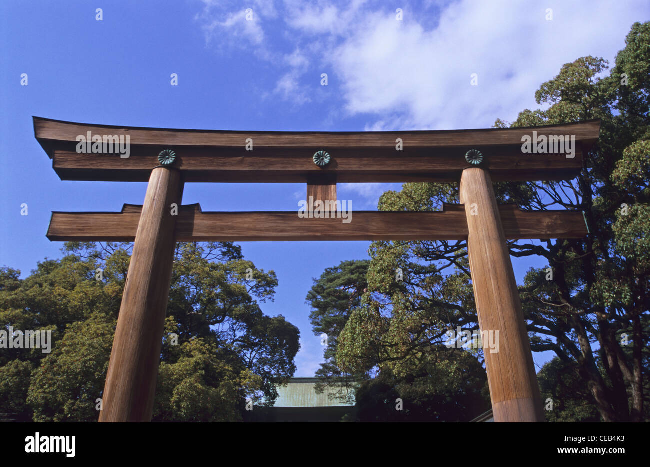 Torii yoyogi park meiji jingu shinto shrine immagini e fotografie stock ...