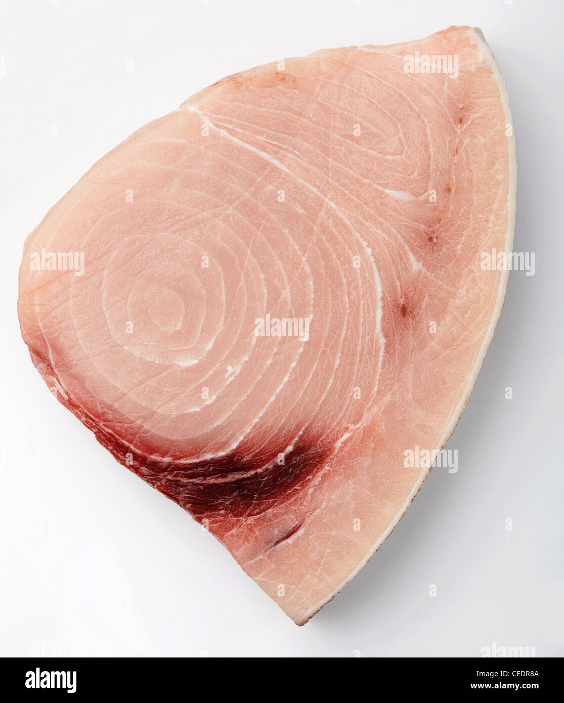 Pesce spada fondo bianco immagini e fotografie stock ad alta ...
