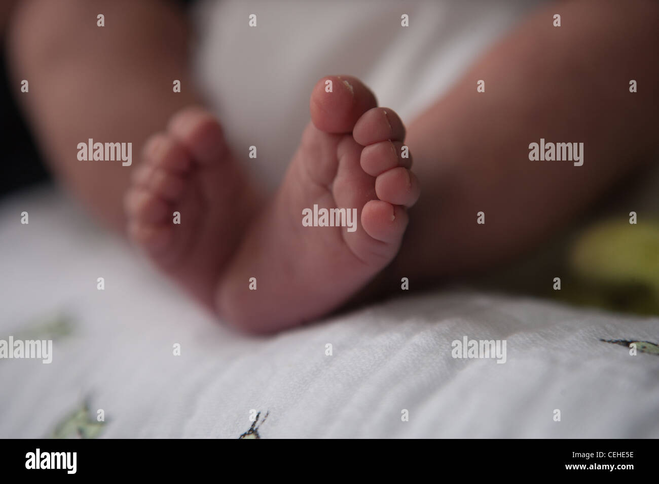Dito del piede tagliato immagini e fotografie stock ad alta risoluzione ...
