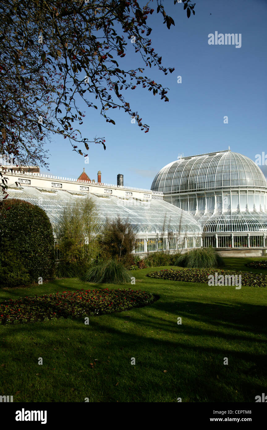 Giardini botanici della casa della palma belfast immagini e fotografie ...