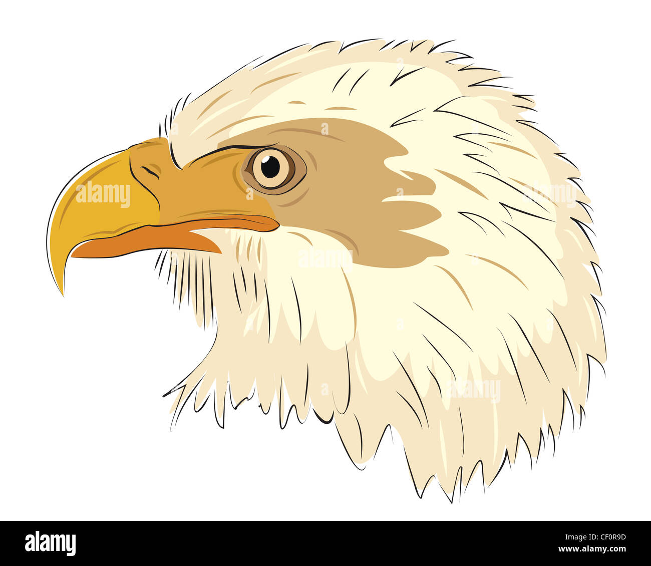 Aquila stilizzata immagini e fotografie stock ad alta risoluzione - Alamy