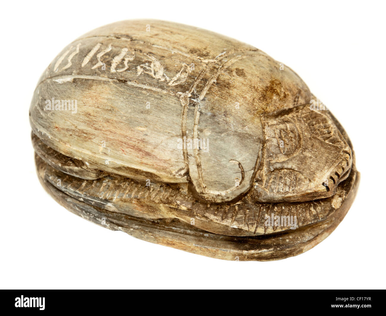 Egyptian scarab beetle immagini e fotografie stock ad alta risoluzione ...