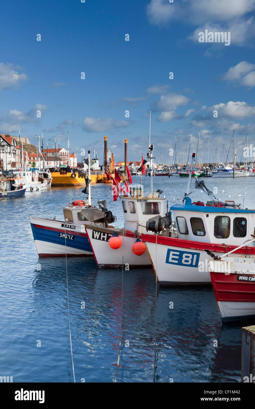 Barche da pesca ormeggiate nel porto, Scarborough, a nord della Costa ...