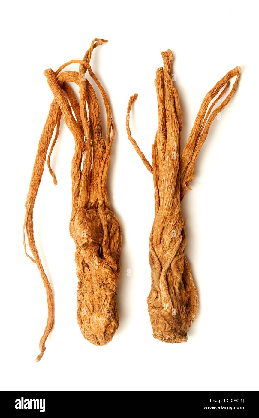 Il sinensis immagini e fotografie stock ad alta risoluzione - Alamy