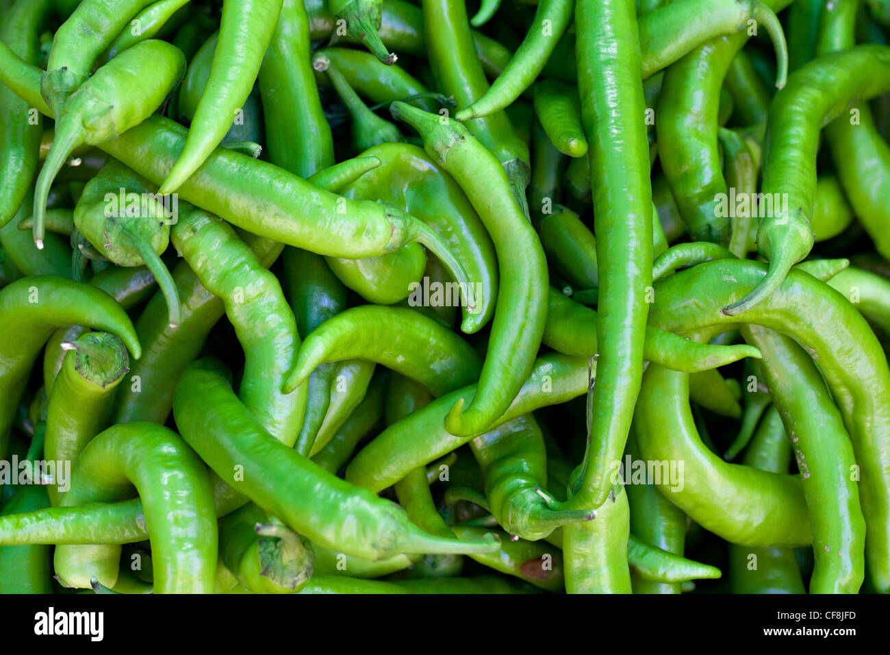 Peperoni verdi immagini e fotografie stock ad alta risoluzione - Alamy
