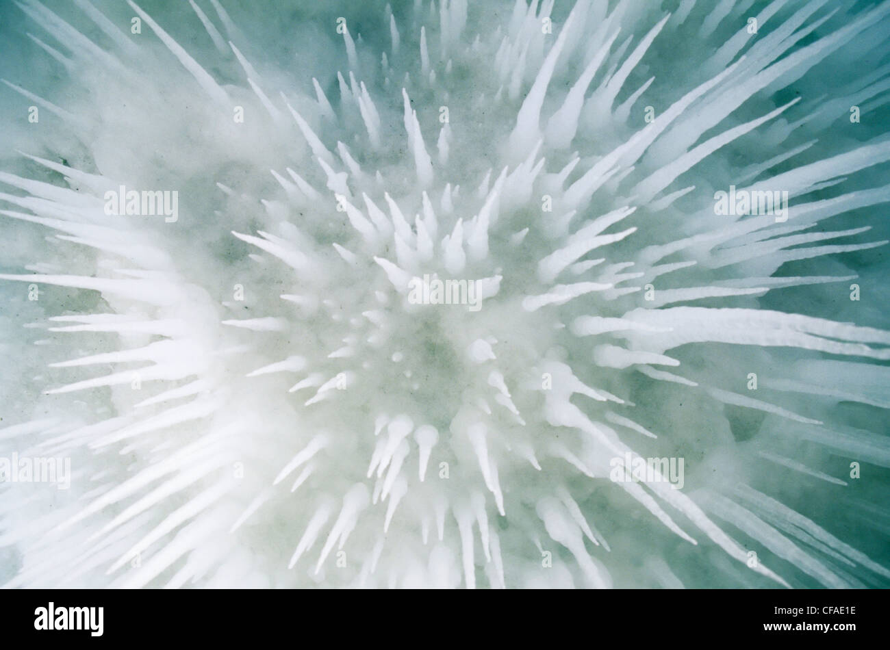 Ghiaccioli appesi al soffitto di una caverna di ghiaccio formato da ...