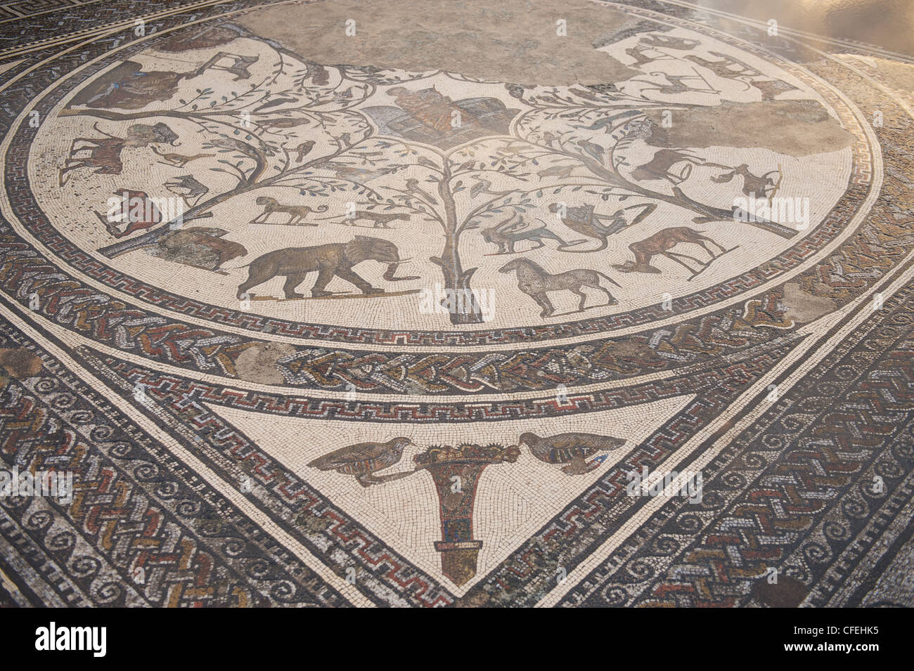 Mosaico di uccelli romani immagini e fotografie stock ad alta ...