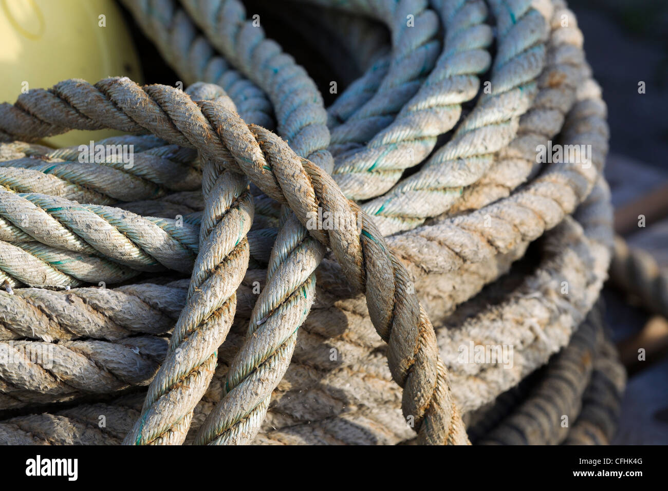 Canapa in fibra immagini e fotografie stock ad alta risoluzione - Alamy