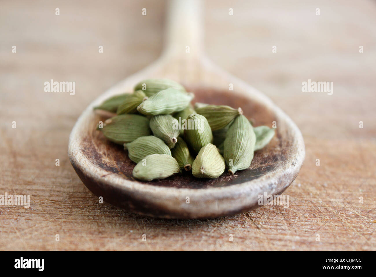 Pianta Di Cardamomo Immagini e Fotos Stock - Alamy