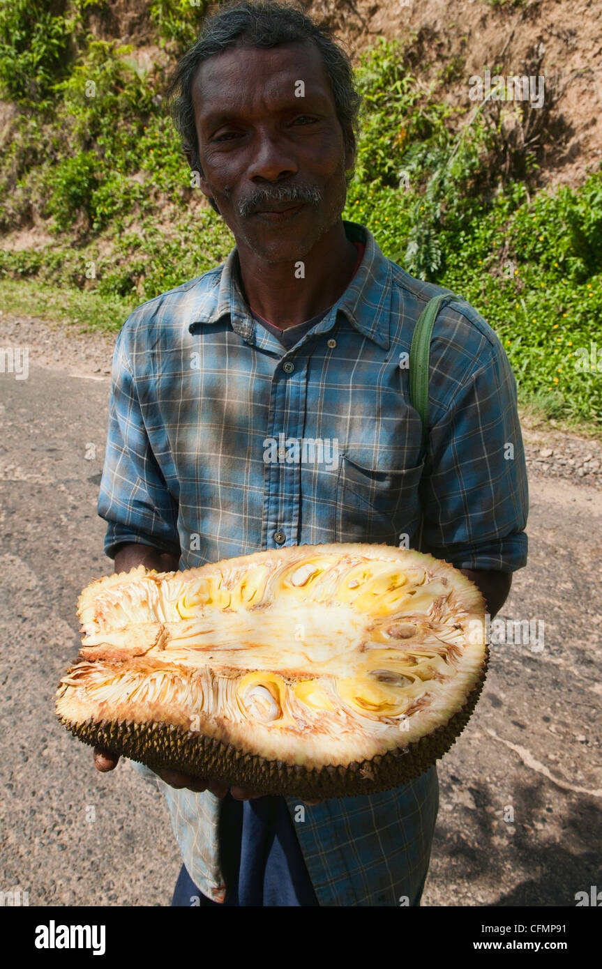 Dolce dello sri lanka immagini e fotografie stock ad alta risoluzione ...