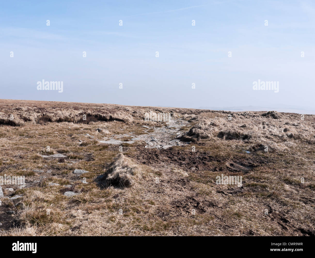 Passo del cavallo bianco immagini e fotografie stock ad alta ...