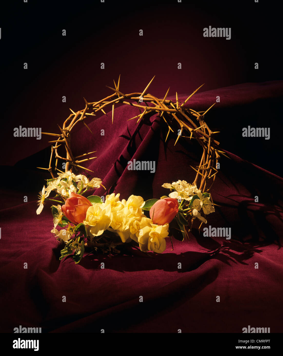 Crontone di fiori immagini e fotografie stock ad alta risoluzione - Alamy