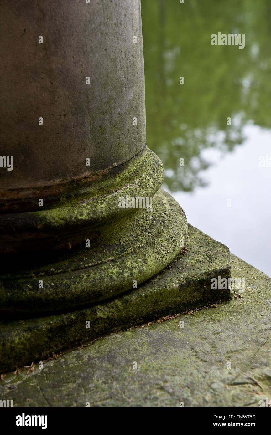 Muffa in esterno immagini e fotografie stock ad alta risoluzione - Alamy