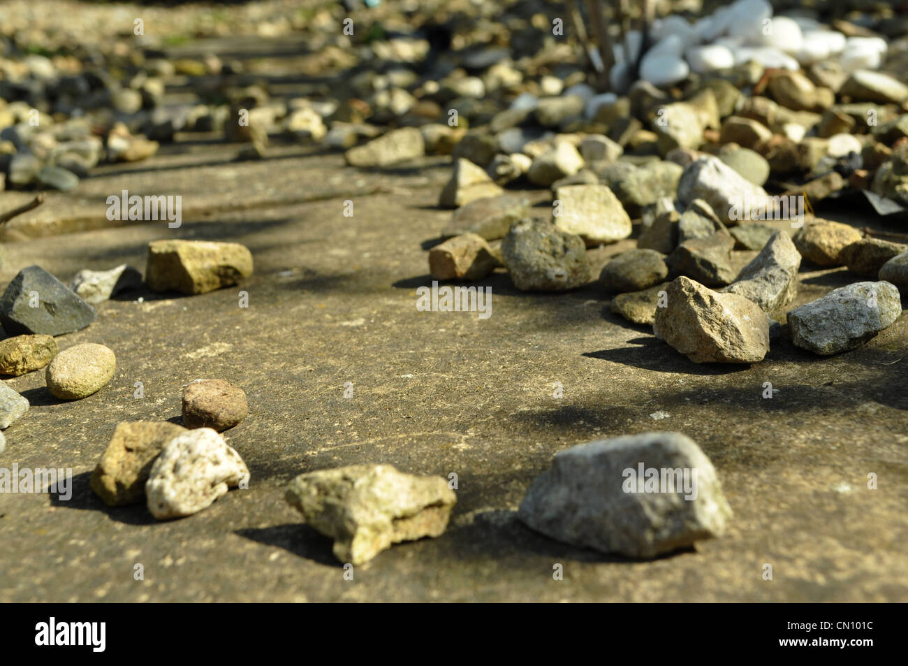 Sentiero del giardino in ghiaia immagini e fotografie stock ad alta ...