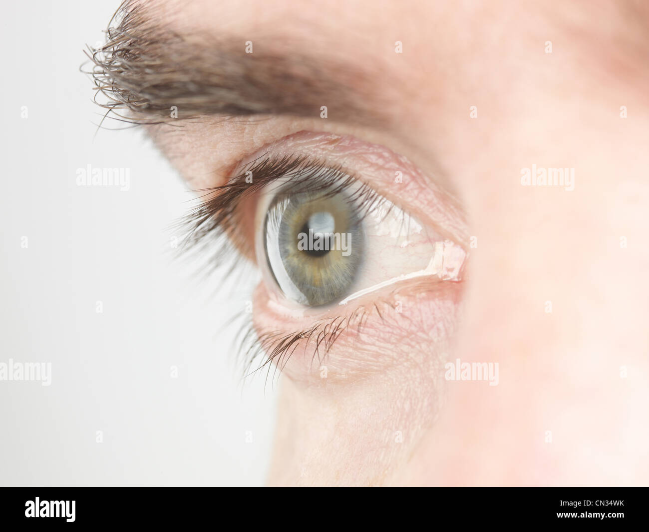 Anatomia occhio messa a fuoco immagini e fotografie stock ad alta ...