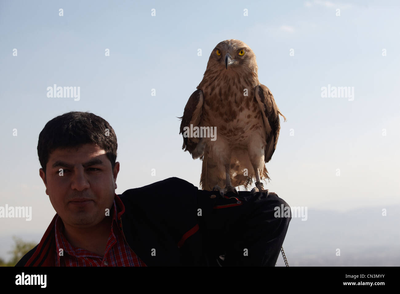 Falconiere con il suo falco immagini e fotografie stock ad alta ...