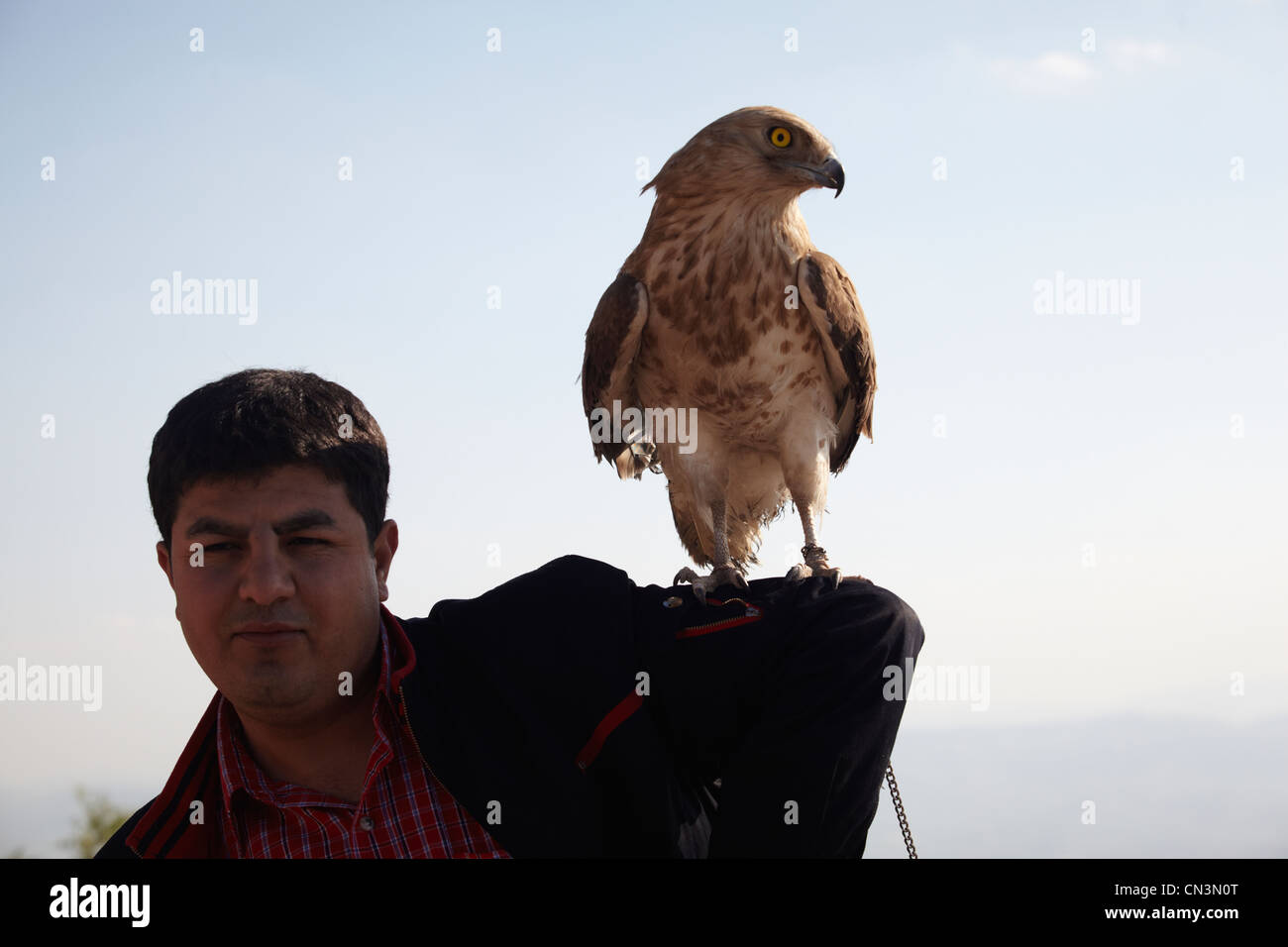 Falconiere con il suo falco immagini e fotografie stock ad alta ...