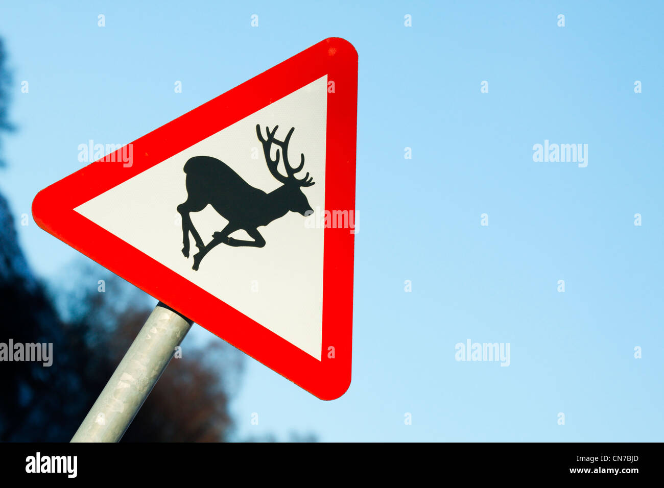 Segno di pericolo animali selvatici immagini e fotografie stock ad alta ...