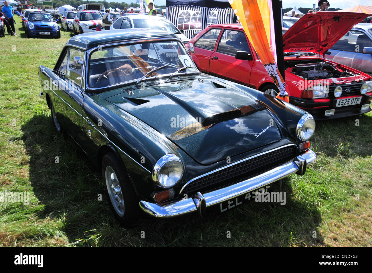 Sunbeam tiger immagini e fotografie stock ad alta risoluzione - Alamy
