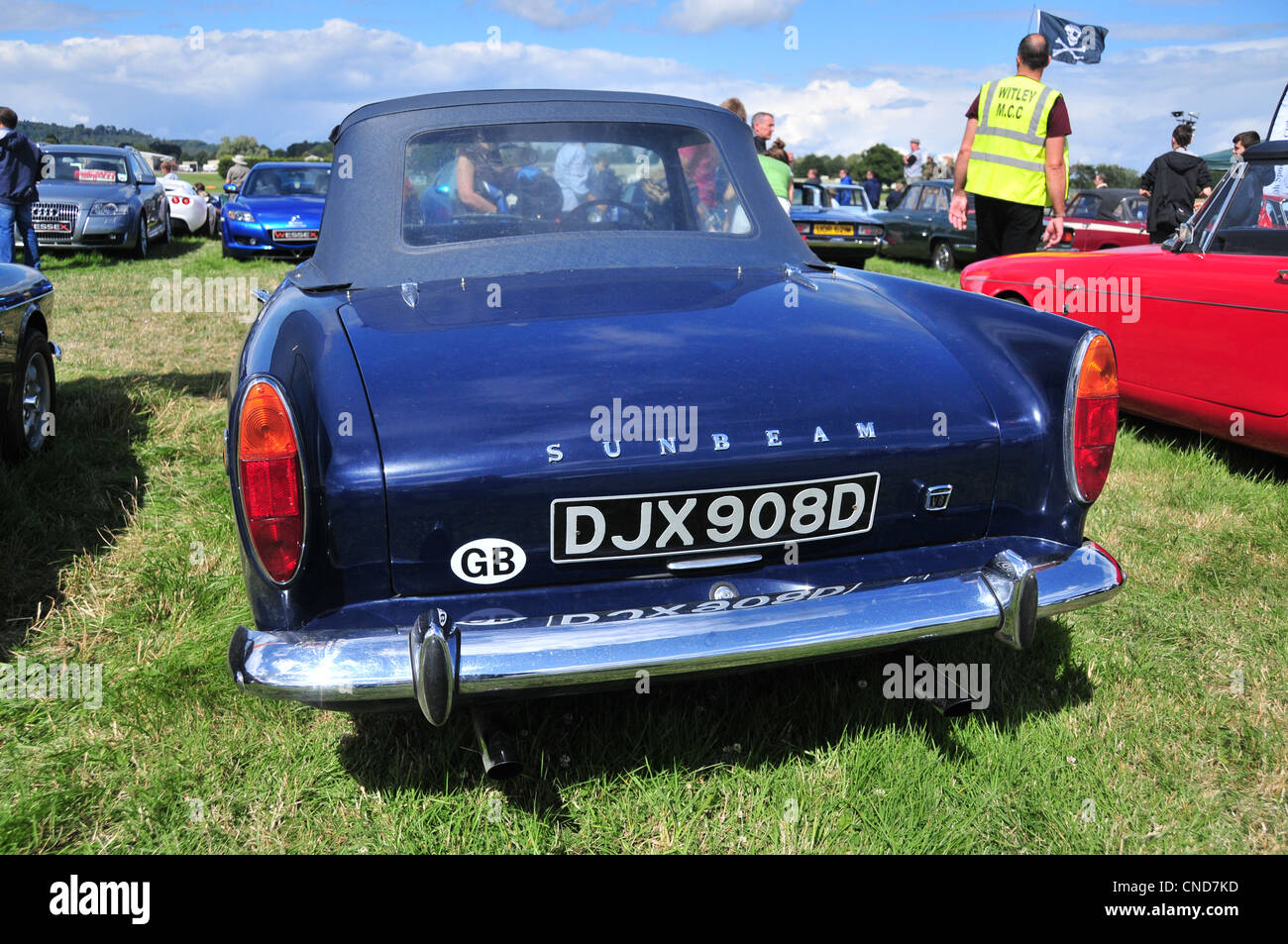 Sunbeam tiger immagini e fotografie stock ad alta risoluzione - Alamy