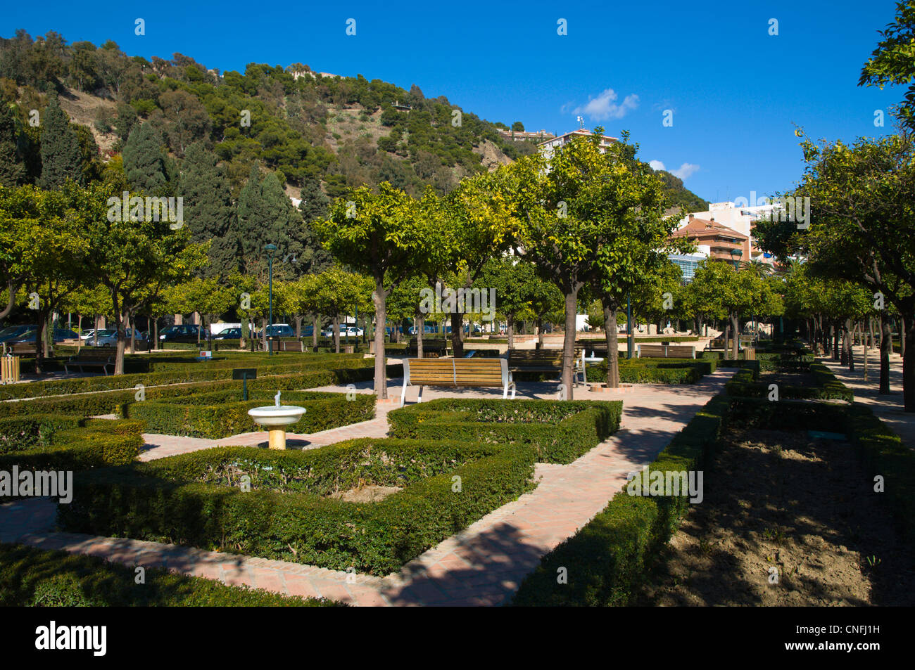 Jardin pedro luis alonso immagini e fotografie stock ad alta ...