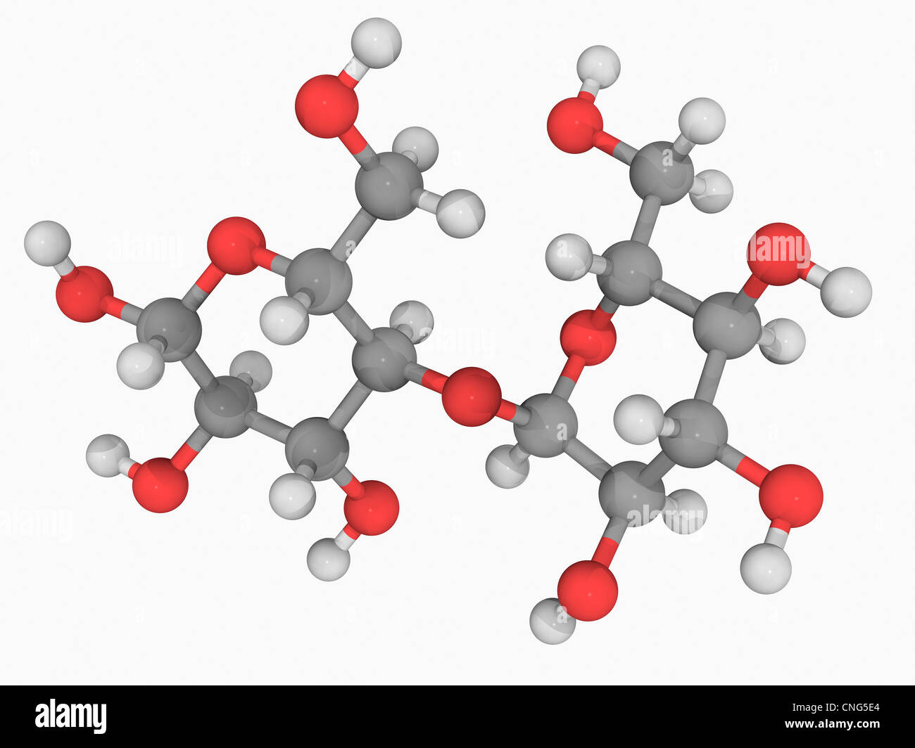Molecola di maltosio immagini e fotografie stock ad alta risoluzione ...