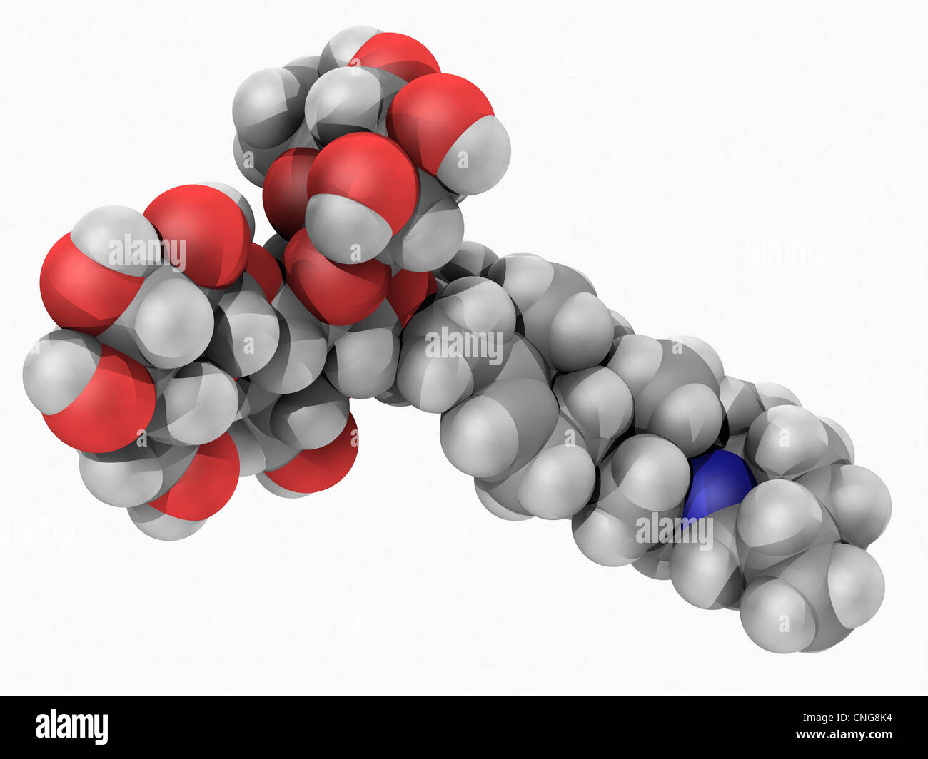 Veleno scientifico Immagini senza sfondo e Foto Stock ritagliate - Alamy
