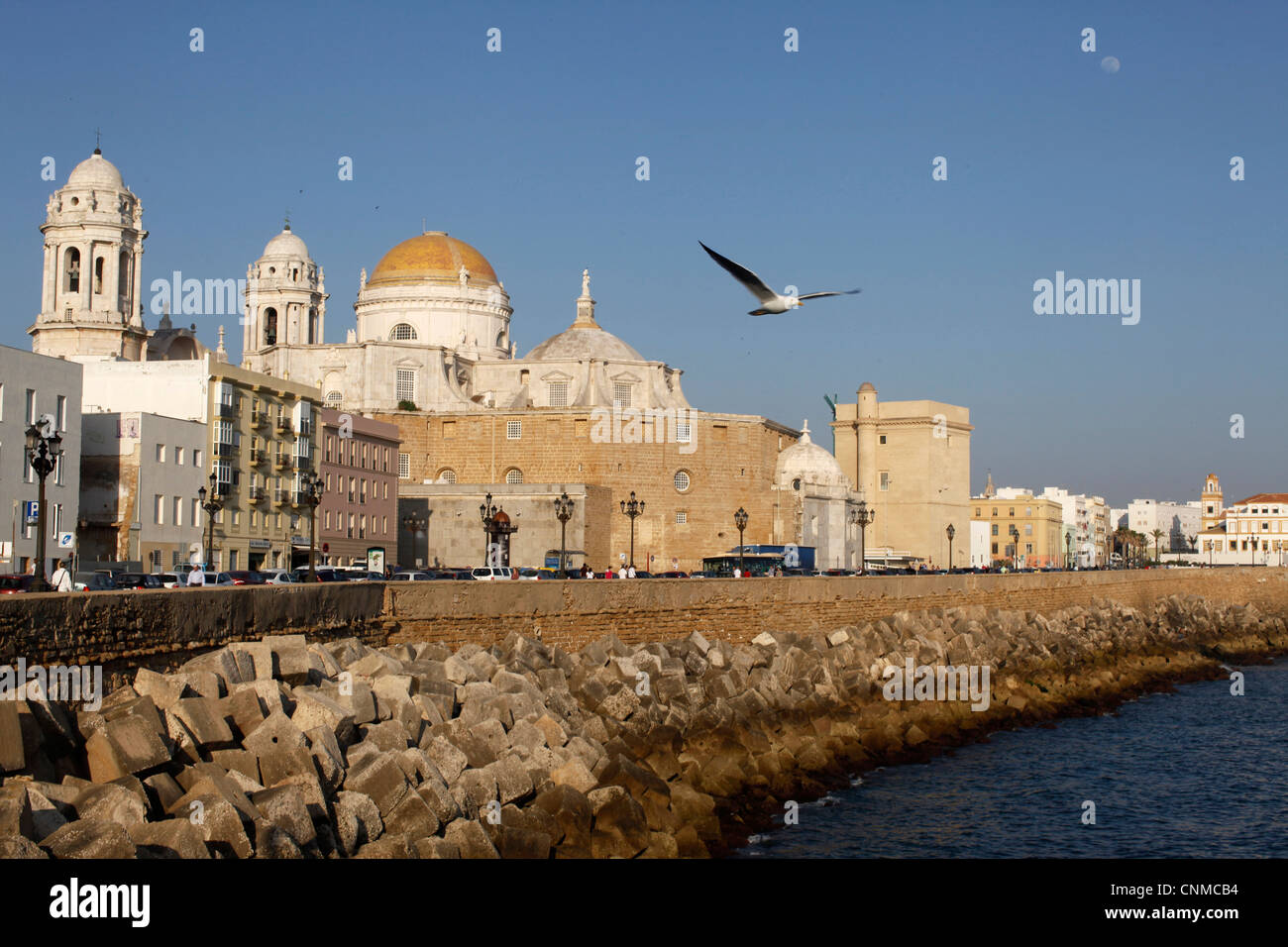 Turista di cadice immagini e fotografie stock ad alta risoluzione - Alamy