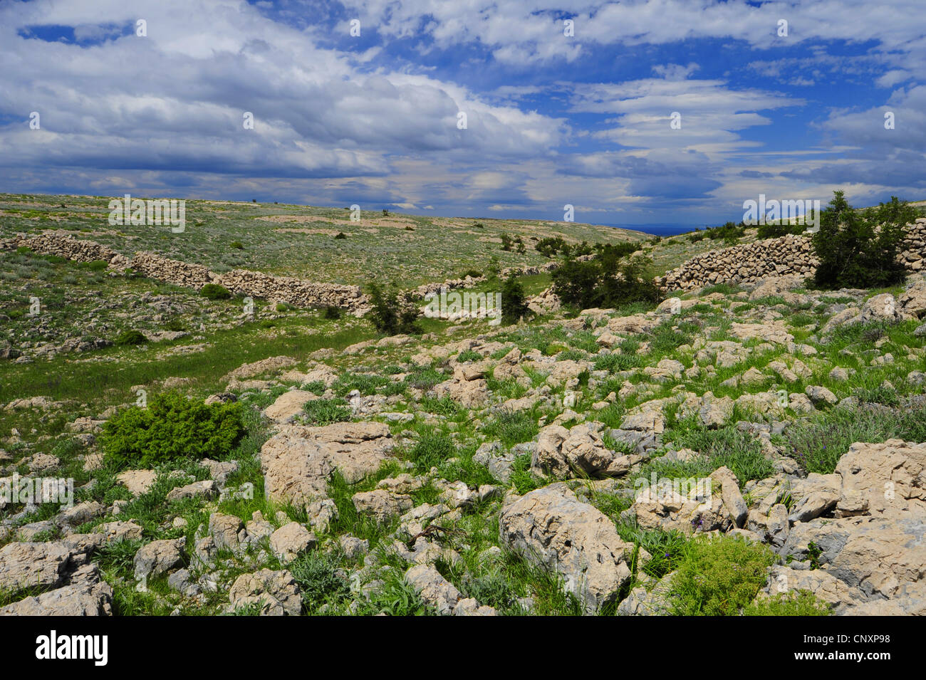 Paesaggio roccioso carsico immagini e fotografie stock ad alta ...