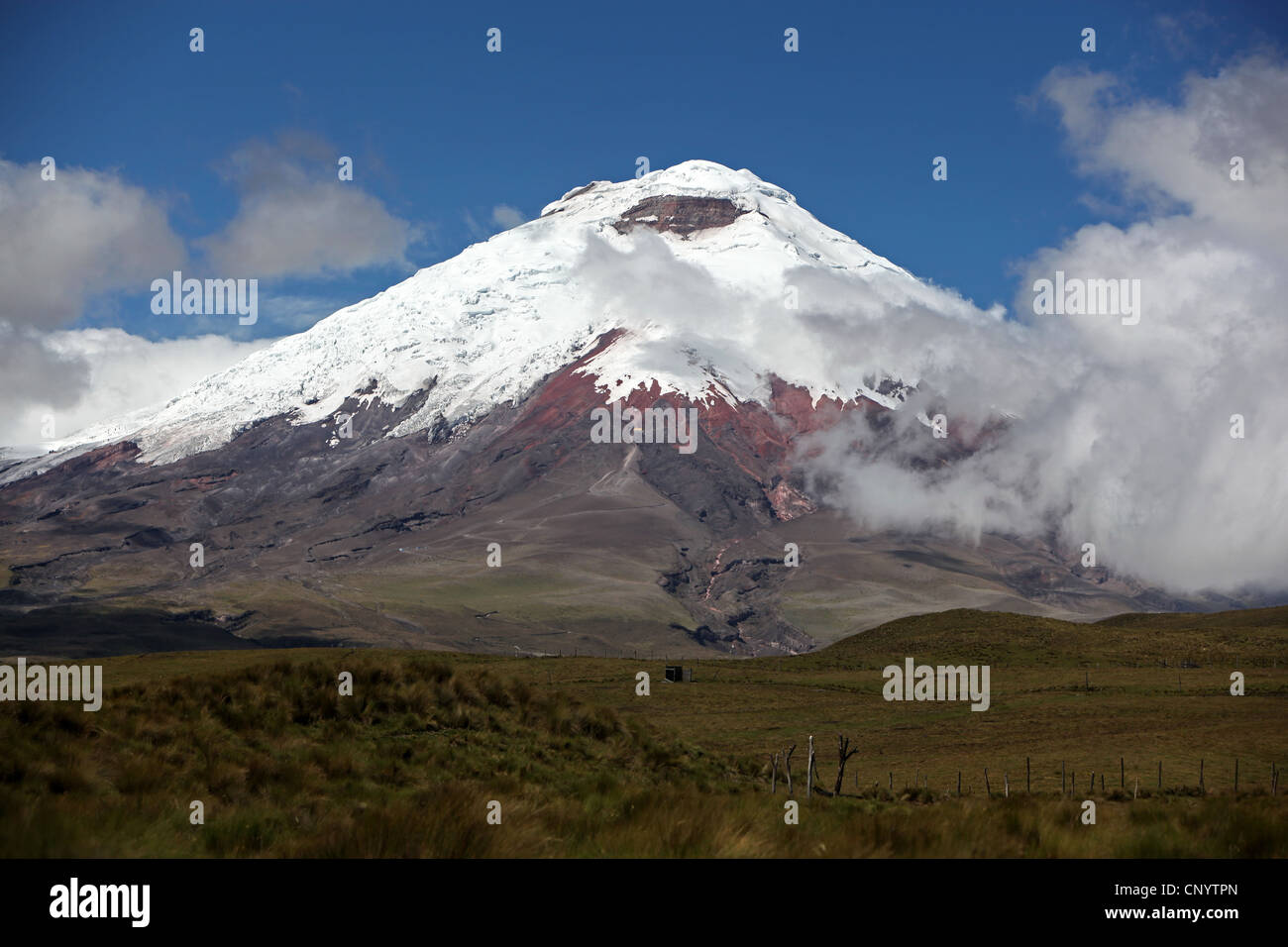 Il vulcano Cotopaxi, Ecuador, Parco Nazionale Cotopaxi Foto stock - Alamy