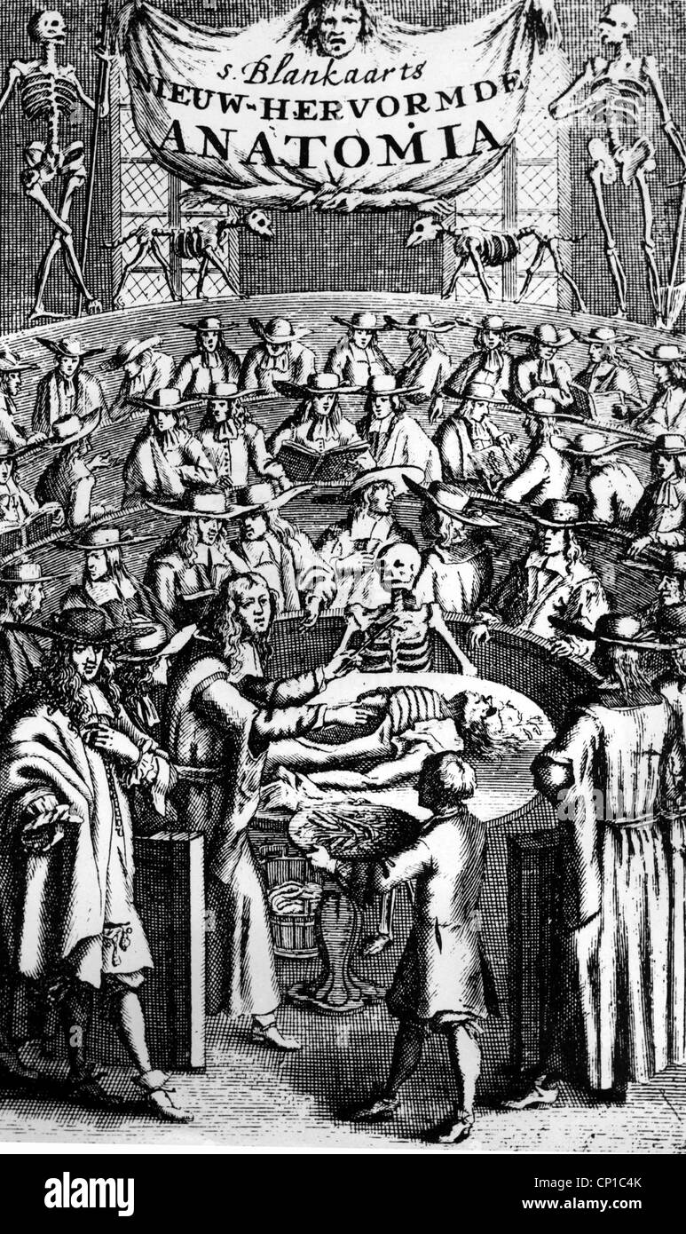 Medicina, anatomia, lezione anatomica, incisione in rame, titolo di ...