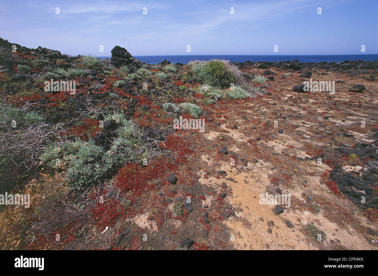 Isola di linosa immagini e fotografie stock ad alta risoluzione - Alamy