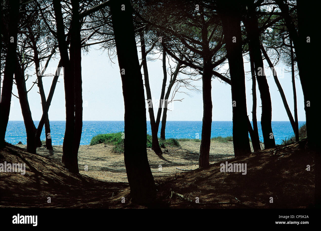 Marina di cecina immagini e fotografie stock ad alta risoluzione - Alamy